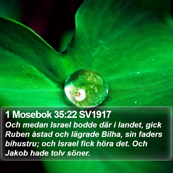 1 Mosebok 35:22 SV1917 - Och medan Israel bodde där i landet, gick Ruben