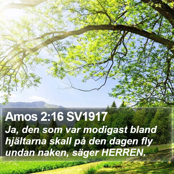 Amos 2 Bible Images - Amos Chapter 2 SV1917 Bible Verse Pictures