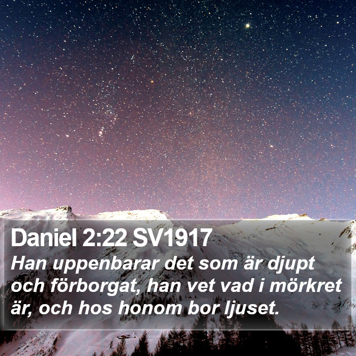 Daniel 2:22 SV1917 - Han uppenbarar det som är djupt och förborgat,