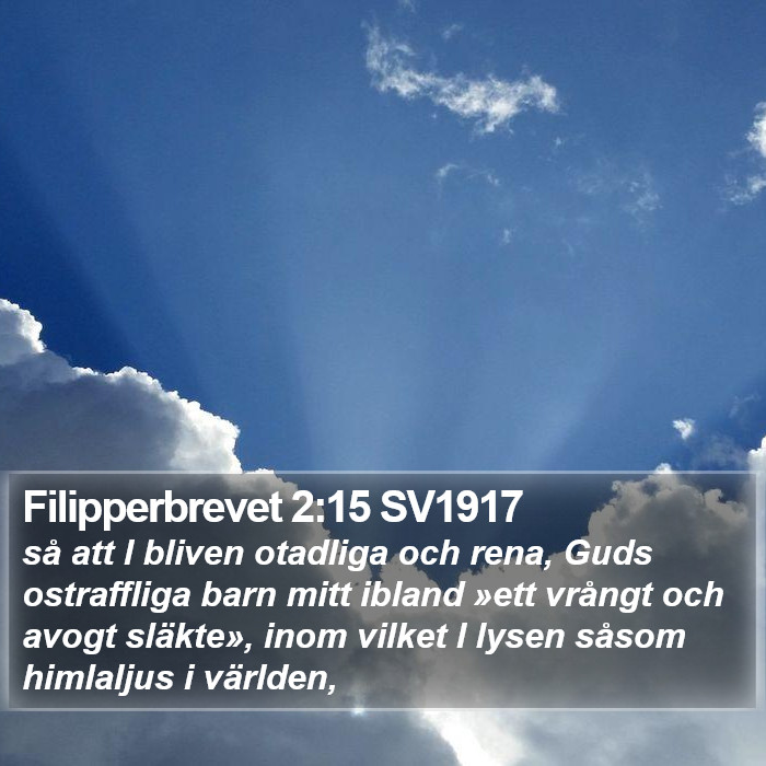 Filipperbrevet 2:15 SV1917 - så att I bliven otadliga och rena, Guds