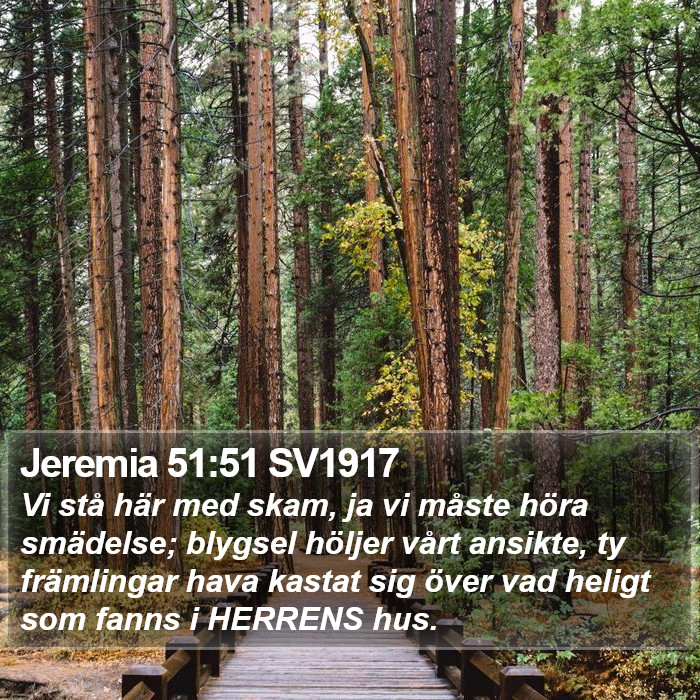 Jeremia 51:51 SV1917 - Vi stå här med skam, ja vi måste höra