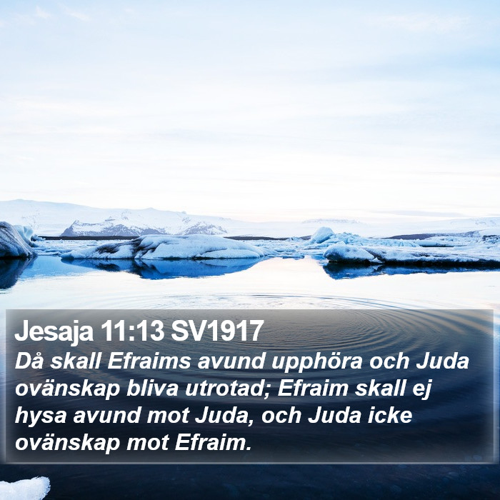 Jesaja 11:13 SV1917 - Då skall Efraims avund upphöra och Juda