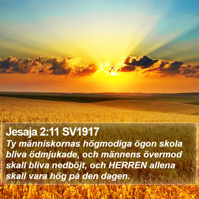 Jesaja 2:11 SV1917 - Ty människornas högmodiga ögon skola bliva