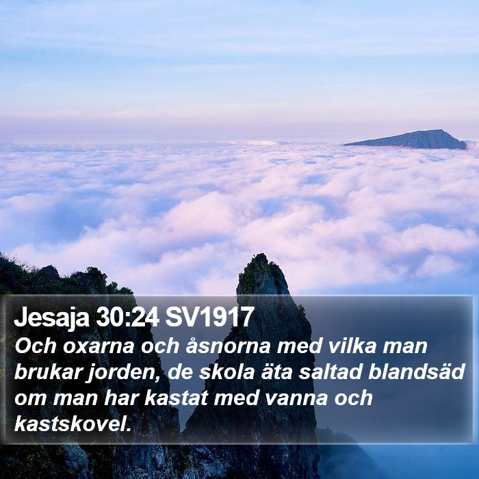 Jesaja 30:24 SV1917 - Och oxarna och åsnorna med vilka man brukar