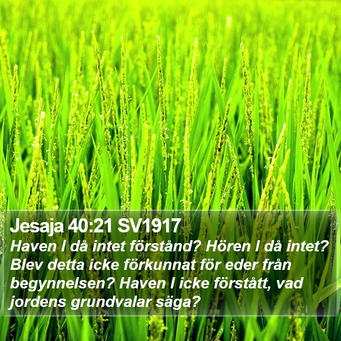 Jesaja 40:21 SV1917 - Haven I då intet förstånd? Hören I då intet?