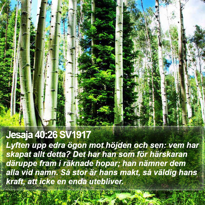 Jesaja 40:26 SV1917 - Lyften upp edra ögon mot höjden och sen: vem