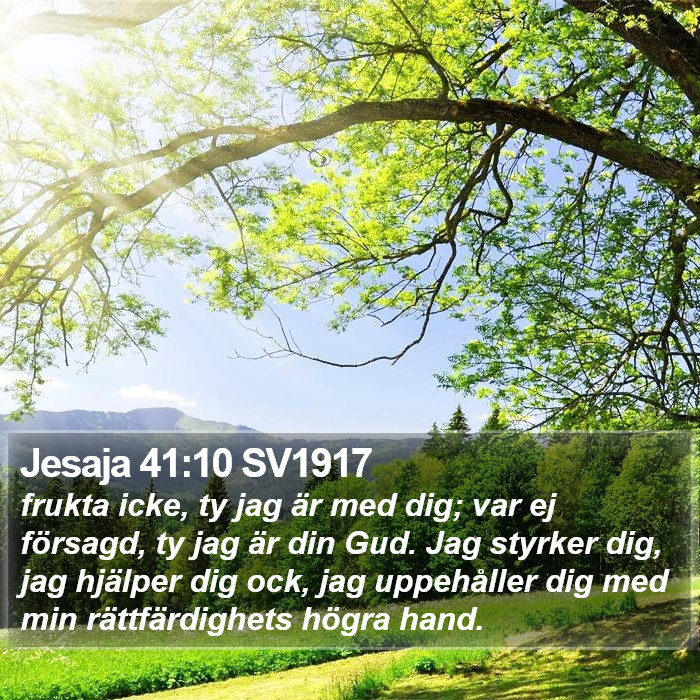 Jesaja 41:10 SV1917 - frukta icke, ty jag är med dig; var ej försagd,