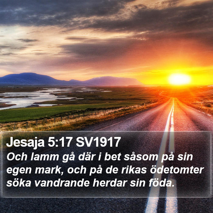 Jesaja 5:17 SV1917 - Och lamm gå där i bet såsom på sin egen mark,