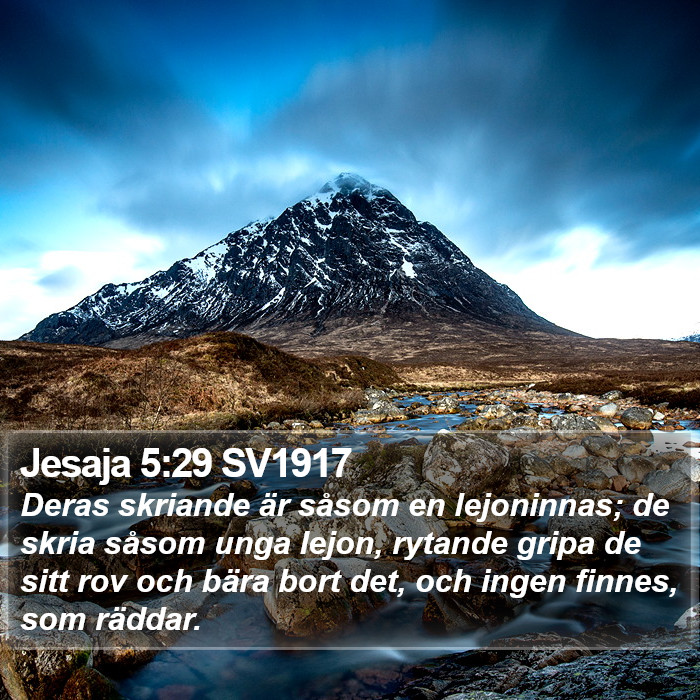 Jesaja 5:29 SV1917 - Deras skriande är såsom en lejoninnas; de skria