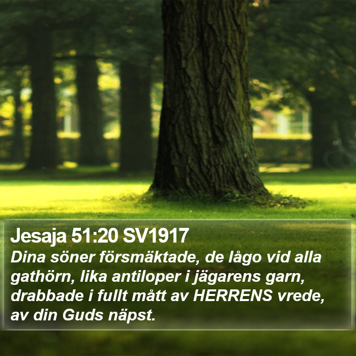 Jesaja 51:20 SV1917 - Dina söner försmäktade, de lågo vid alla