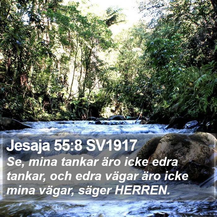 Jesaja 55:8 SV1917 - Se, mina tankar äro icke edra tankar, och edra