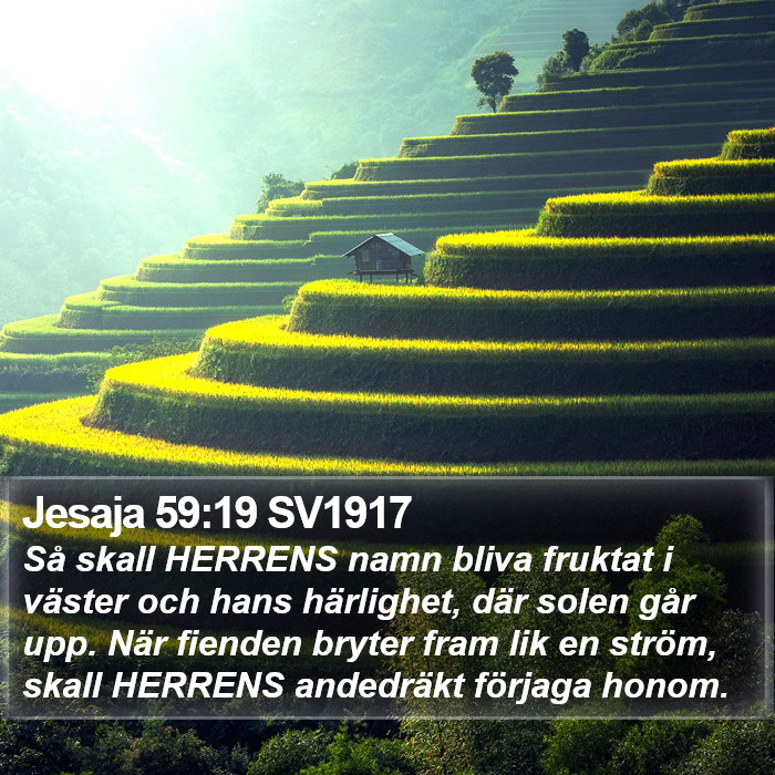 Jesaja 59:19 SV1917 - Så skall HERRENS namn bliva fruktat i väster