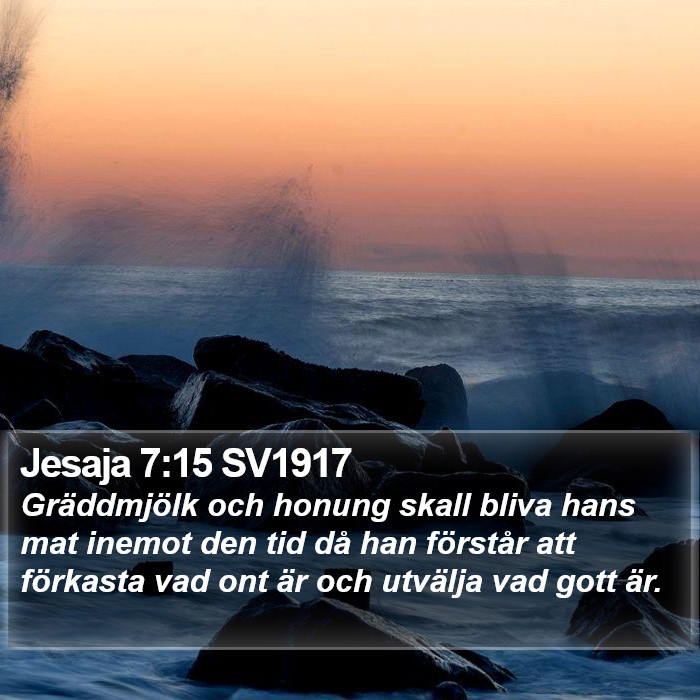 Jesaja 7:15 SV1917 - Gräddmjölk och honung skall bliva hans mat