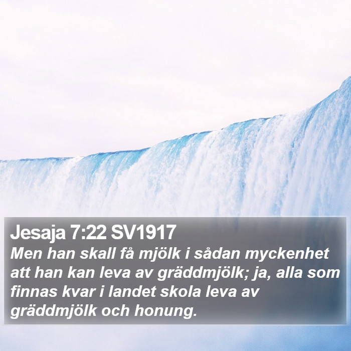 Jesaja 7:22 SV1917 - Men han skall få mjölk i sådan myckenhet att