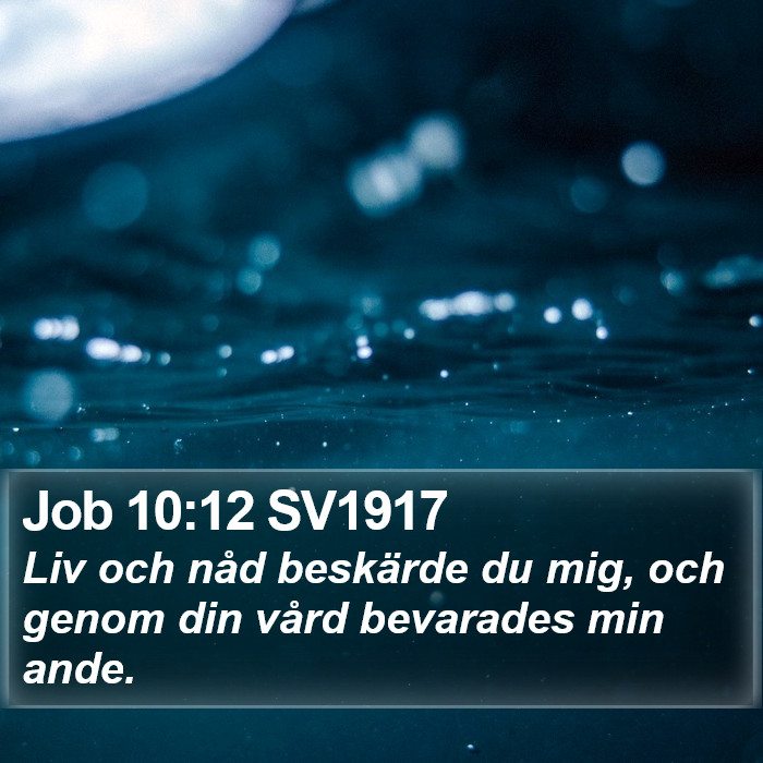 Job 10:12 SV1917 - Liv och nåd beskärde du mig, och genom din