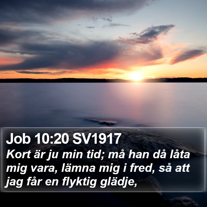 Job 10:20 SV1917 - Kort är ju min tid; må han då låta mig vara,