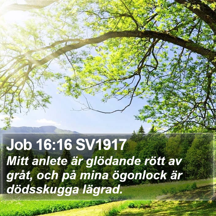 Job 16:16 SV1917 - Mitt anlete är glödande rött av gråt, och på