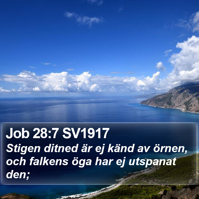 Job 28:7 SV1917 - Stigen ditned är ej känd av örnen, och falkens
