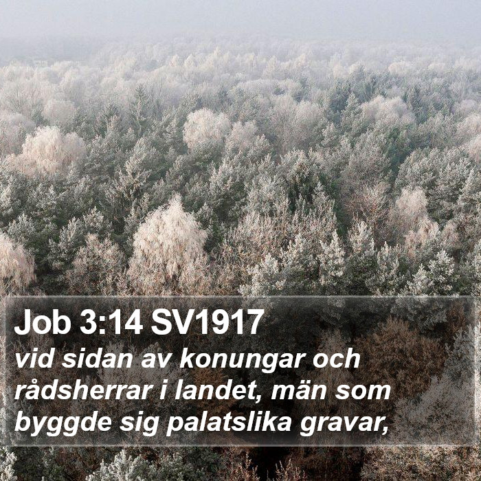 Job 3:14 SV1917 - vid sidan av konungar och rådsherrar i landet,