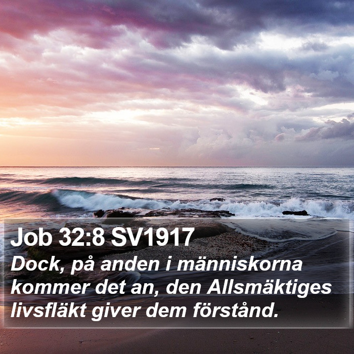 Job 32:8 SV1917 - Dock, på anden i människorna kommer det an, den