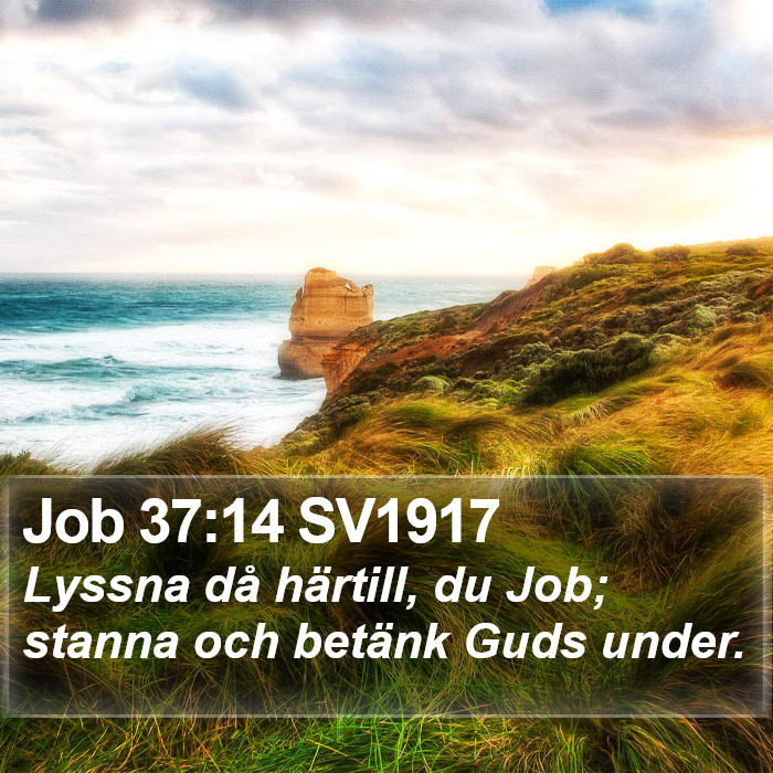 Job 37:14 SV1917 - Lyssna då härtill, du Job; stanna och betänk