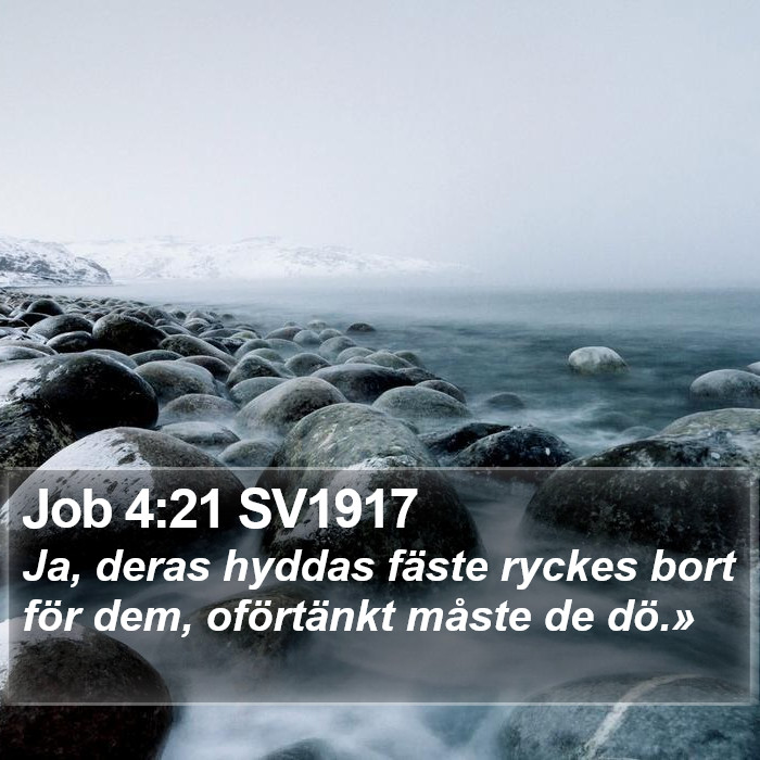 Job 4 Bible Images - Job Chapter 4 SV1917 Bible Verse Pictures