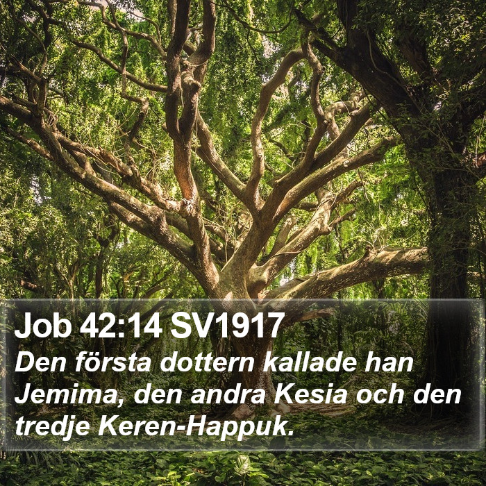 Job 42:14 SV1917 - Den första dottern kallade han Jemima, den andra