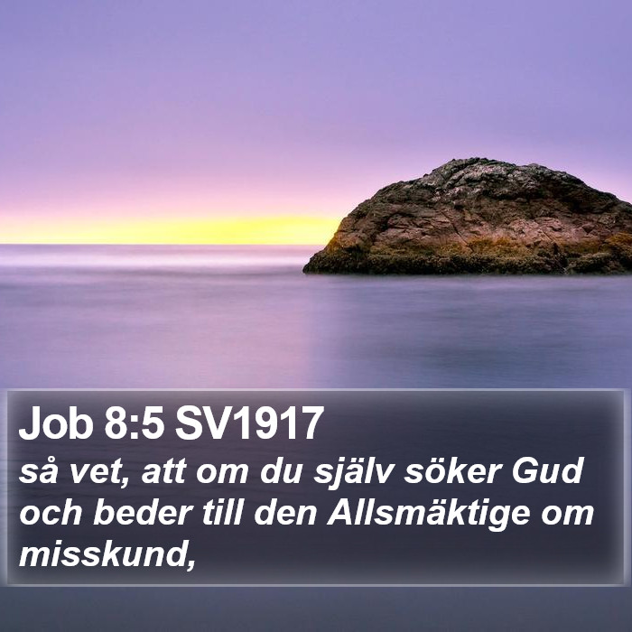 Job 8:5 SV1917 - så vet, att om du själv söker Gud och beder