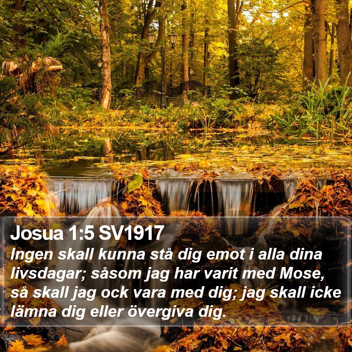 Josua 1:5 SV1917 - Ingen skall kunna stå dig emot i alla dina
