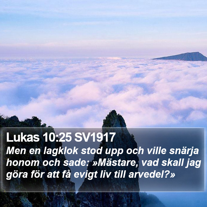 Lukas 10:25 SV1917 - Men en lagklok stod upp och ville snärja honom