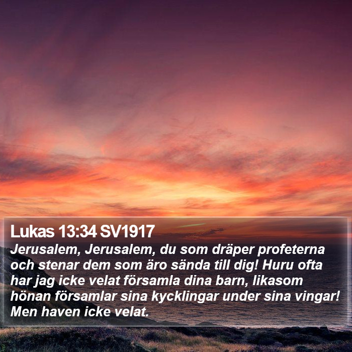 Lukas 13:34 SV1917 - Jerusalem, Jerusalem, du som dräper profeterna
