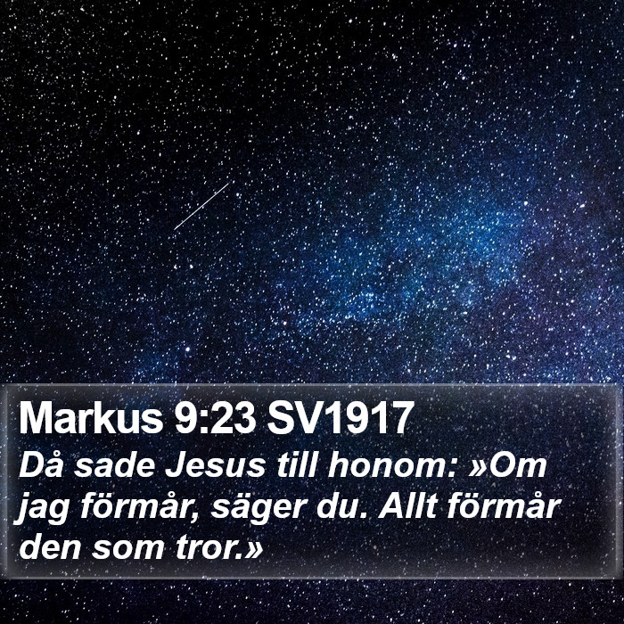 Markus 9:23 SV1917 - Då sade Jesus till honom: »Om jag förmår,