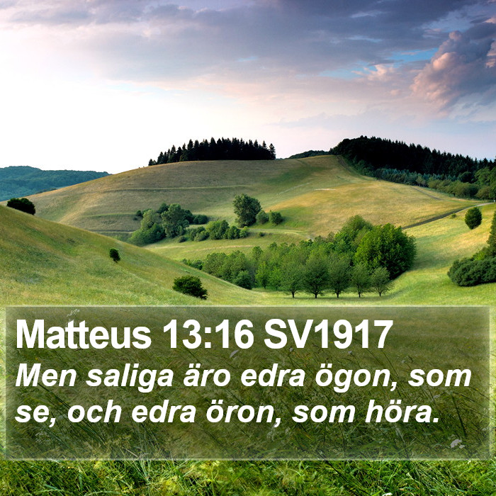 Matteus 13:16 SV1917 - Men saliga äro edra ögon, som se, och edra