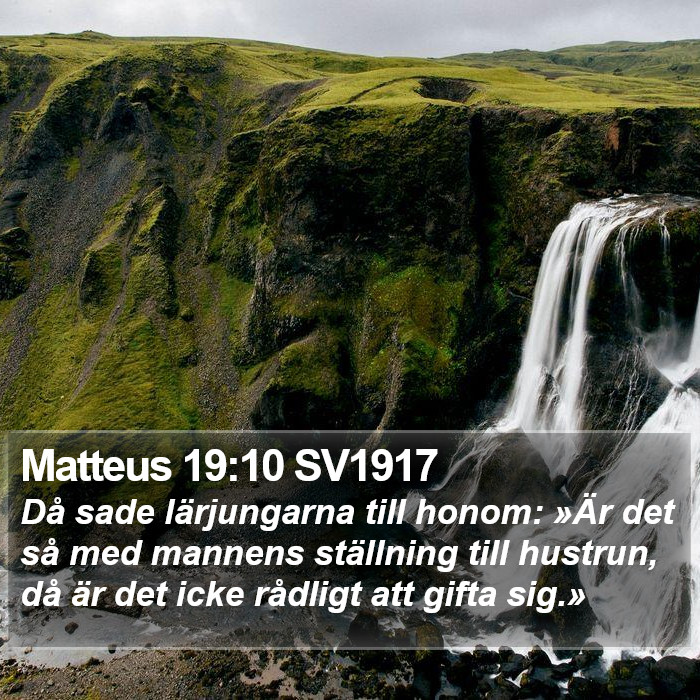 Matteus 19:10 SV1917 - Då sade lärjungarna till honom: »Är det så