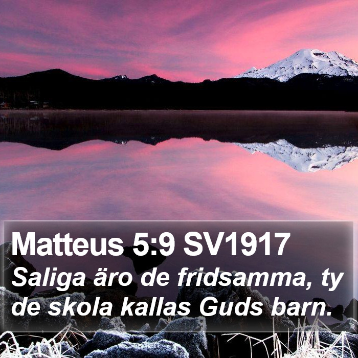 Matteus 5:9 SV1917 - Saliga äro de fridsamma, ty de skola kallas Guds