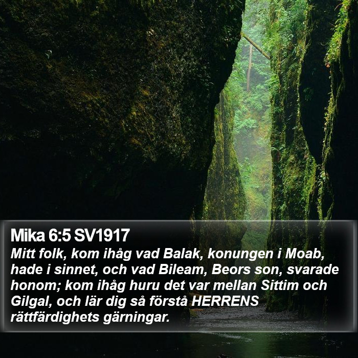 Mika 6:5 SV1917 - Mitt folk, kom ihåg vad Balak, konungen i Moab,